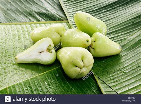 Java Apple Stock Photos Java Apple Stock Images Alamy