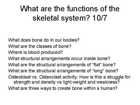 What Are The Functions Of The Skeletal System
