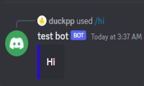 Create A Professional Discord Bot By Ducklul452 Fiverr