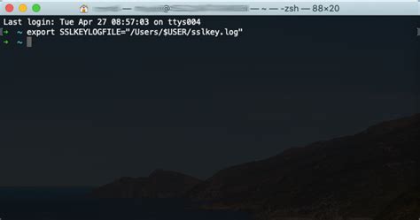 Set The Sslkeylogfile Environment Variable