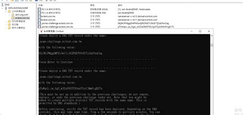 Incorrect Txt Record Vspf1 All Found At Acme