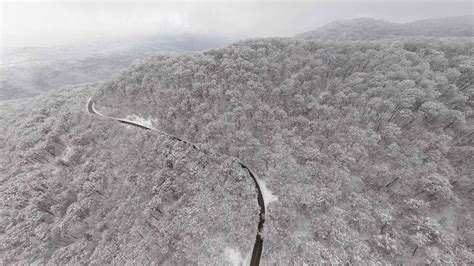 საბადურის ტყე 360georgia