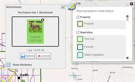 Graphics Disappear Then Reappear As Scale Changes Esri Community
