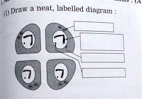 Solved Labell The Diagram Please Ott Va Draw A Neat Labelled