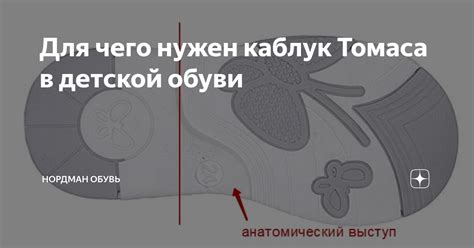 Для чего нужен каблук Томаса в детской обуви | Нордман Обувь | Дзен