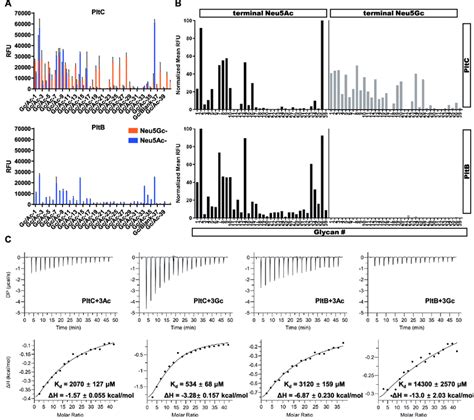 Pltc And Pltb Exhibit Different Glycan Binding Preferences A Glycan