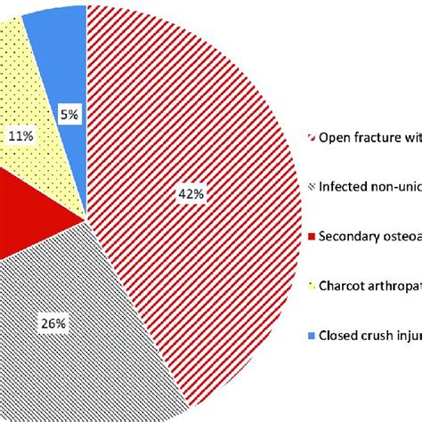Schernbergs Scaphoid Classification 32 I Proximal Pole Ii Iii