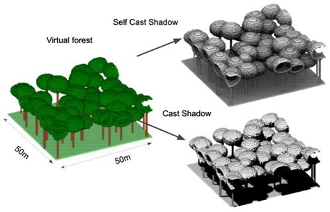 Remote Sensing Free Full Text Modeling Shadow With Voxel Based Trees For Sentinel 2