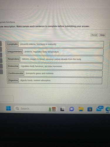 A P Lab Final Study Guide Flashcards Quizlet