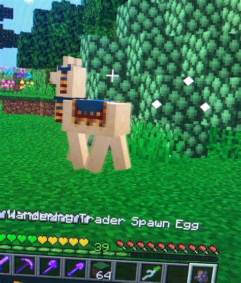 Does Someone Has A Clue Why I Cant Spawn A Wandering Trader With Spawnegg The Llama Is Does Someone Has A Clue Why I Cant Spawn A Wandering Trader With Spawnegg The Llama Is