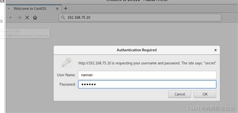 Nginx 服务 服务基础、访问控制nginx访问控制规则 Csdn博客