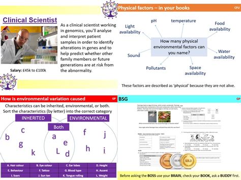 Ks3 Type Of Variation Year 9 Teaching Resources
