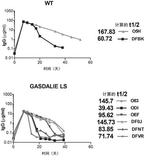 Human Igg Fc Domain Variants With Improved Effector Function Eureka Patsnap
