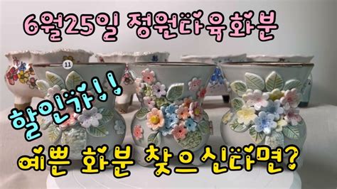 2024년 6월 25일 할인가의예쁜화분 행복한다육생활정원다육화분 정원다육 수제공방분 예쁜화분 다육화분 Youtube