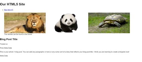 HTML Figure And Figcaption Beginners Guide For Web Developers