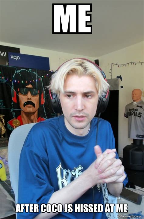 Me After Coco Js Hissed At Me Xqc Meme Generator