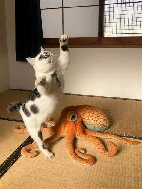 Эрүүл мэндээ Эрүүл мэндээ хайрладаг хүн бүрт зориулав