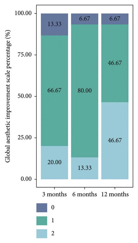 Global Aesthetic Improvement Scale Percentage At 3 Months 6 Months