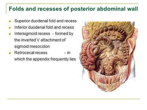 Shandong University Liu Zhiyu Ppt Video Online Download