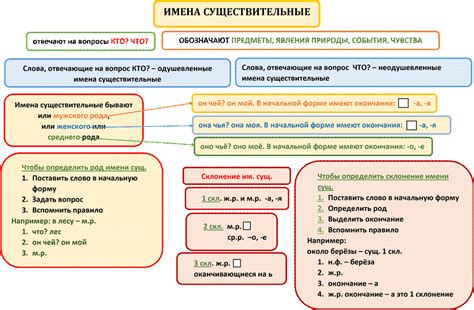Памятка по русскому языку по теме Имя существительное 3 класс русский язык Область знаний