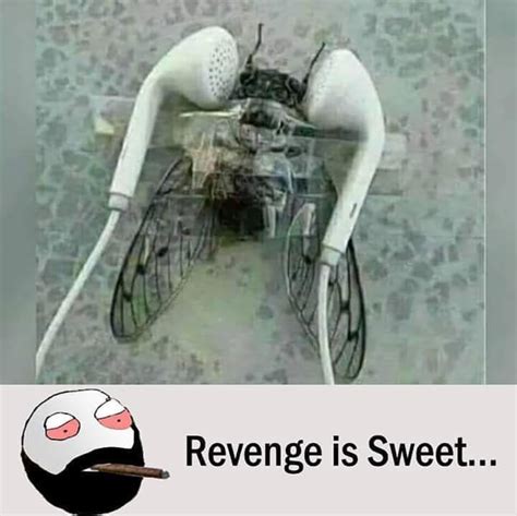 I Mean I Hate Flies But This Shit Rcomedycemetery