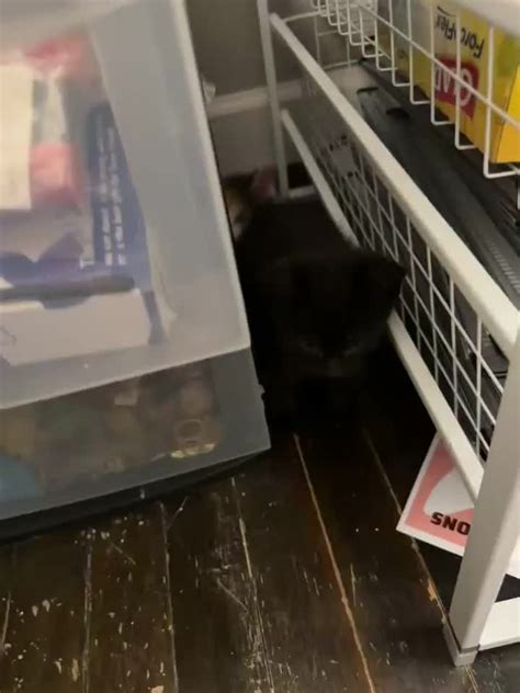 This Is A Disaster Album On Imgur