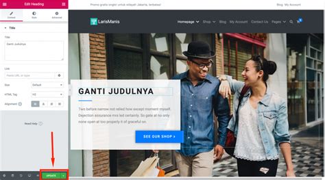 Panduan Elementor Json File Ke Page Tema Tokopressid