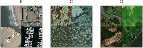 Figure 1 From On The Effects Of Different Types Of Label Noise In Multi