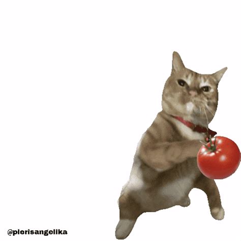 Tomato Throw S Tenor