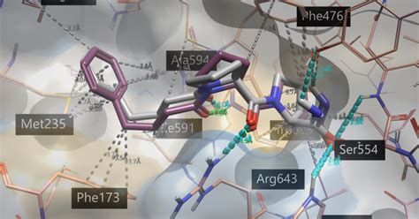 Flare™系综共价对接