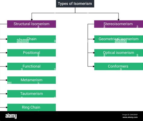 Types Of Isomerism Structural Isomerism And Stereoisomerism Stock