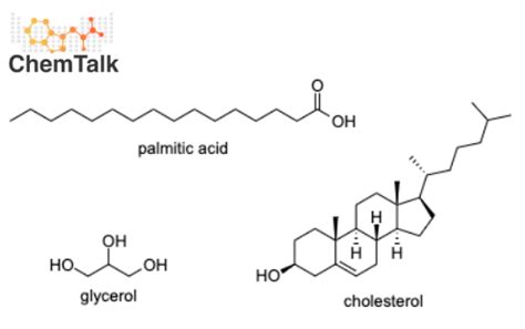 Biological Macromolecules ChemTalk