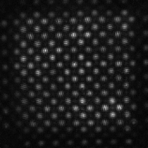 Typical Interference Pattern Obtained With Adapted Qwlsi Recorded On Download Scientific