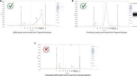 Representative Library Quality Control Results Using Fragment Analyzer