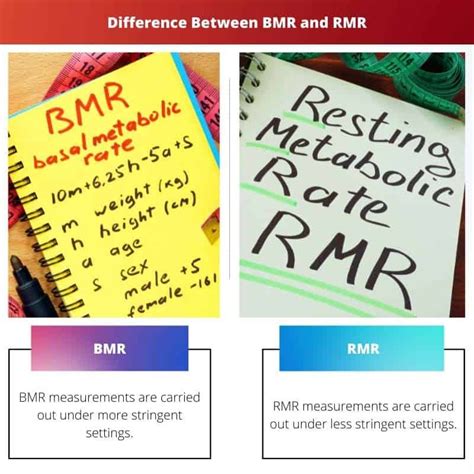 Bmr Vs Rmr Difference And Comparison