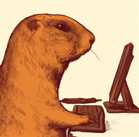 Memory Management And Profiling In Go — Coding Explorations