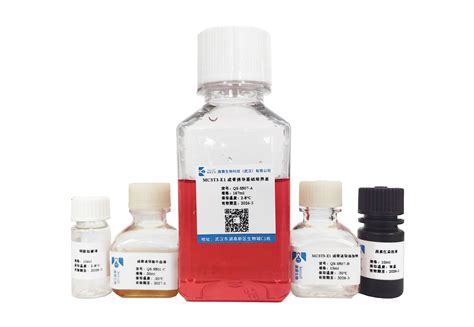 Mc3t3 E1成骨诱导培养基试剂盒 诱导分化培养基 产品中心 旗赛生物科技（武汉）有限公司