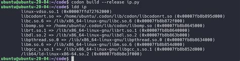 使用 Codon 提升 Python 代码执行速度 使用 Codon 提升 Python 代码执行速度