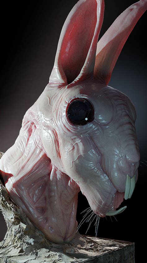 Naked Rabbit ZBrushCentral