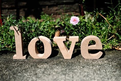 나무 편지 콘크리트 바닥에 사랑 단어 자연 정원에서 텍스트를 사랑 해요 발렌타인 하루 개념 배경 사용 합니다 나무 알파벳 Wordscopy 공간 0명에 대한 스톡 사진 및