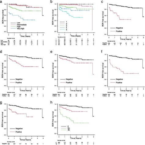 Biochemical Recurrence Free Survival For The Nccn Risk Stratification