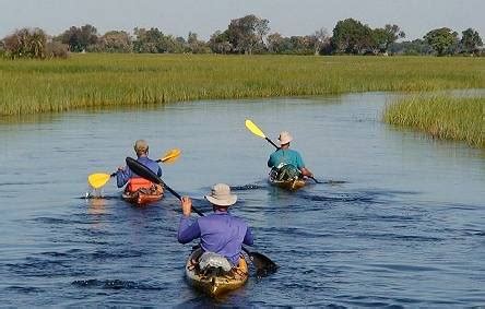 Rates Kayaktive