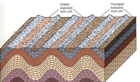 褶皱示意图 地质地貌 初高中地理网
