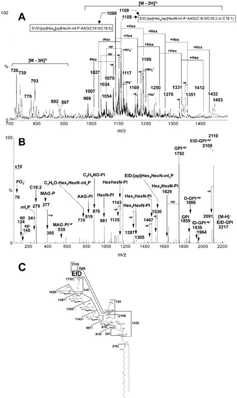 Esi Tof Ms Negative Ion Mode Analysis Of Tgpi Peptides A Esi Tof Ms Download Scientific