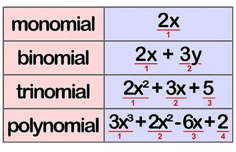 Polynomials Class 10 Notes Maths Chapter 2 Free Pdf