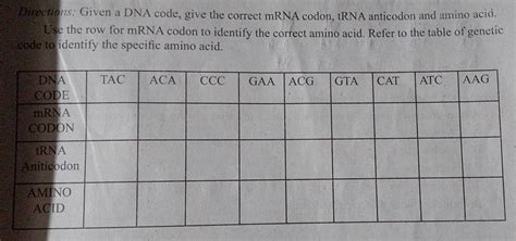 Solved Directions Given A Dna Code Give The Correct Mrna Codon Trna