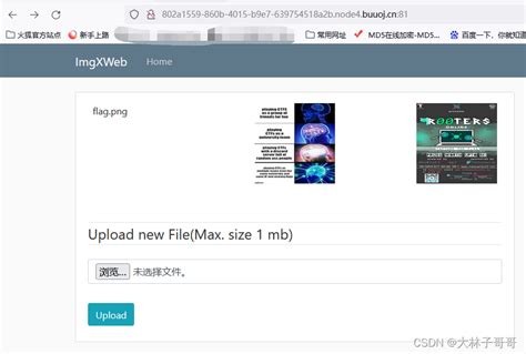 Buuctf刷题记录 Rootersctf2019 Imgxweb——jwt验证问题