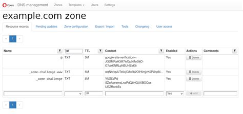 Analyzing And Fixing Internal Server Error In Powerdns Api And Opera Dns Ui
