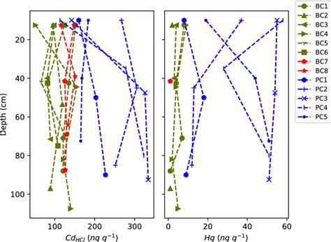 Behavior Of Cadmium Concentration Of Hcl Extraction And Total Hg