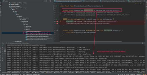 Example Is Not Standard In Shardingrawjavaconfigurationexample · Issue
